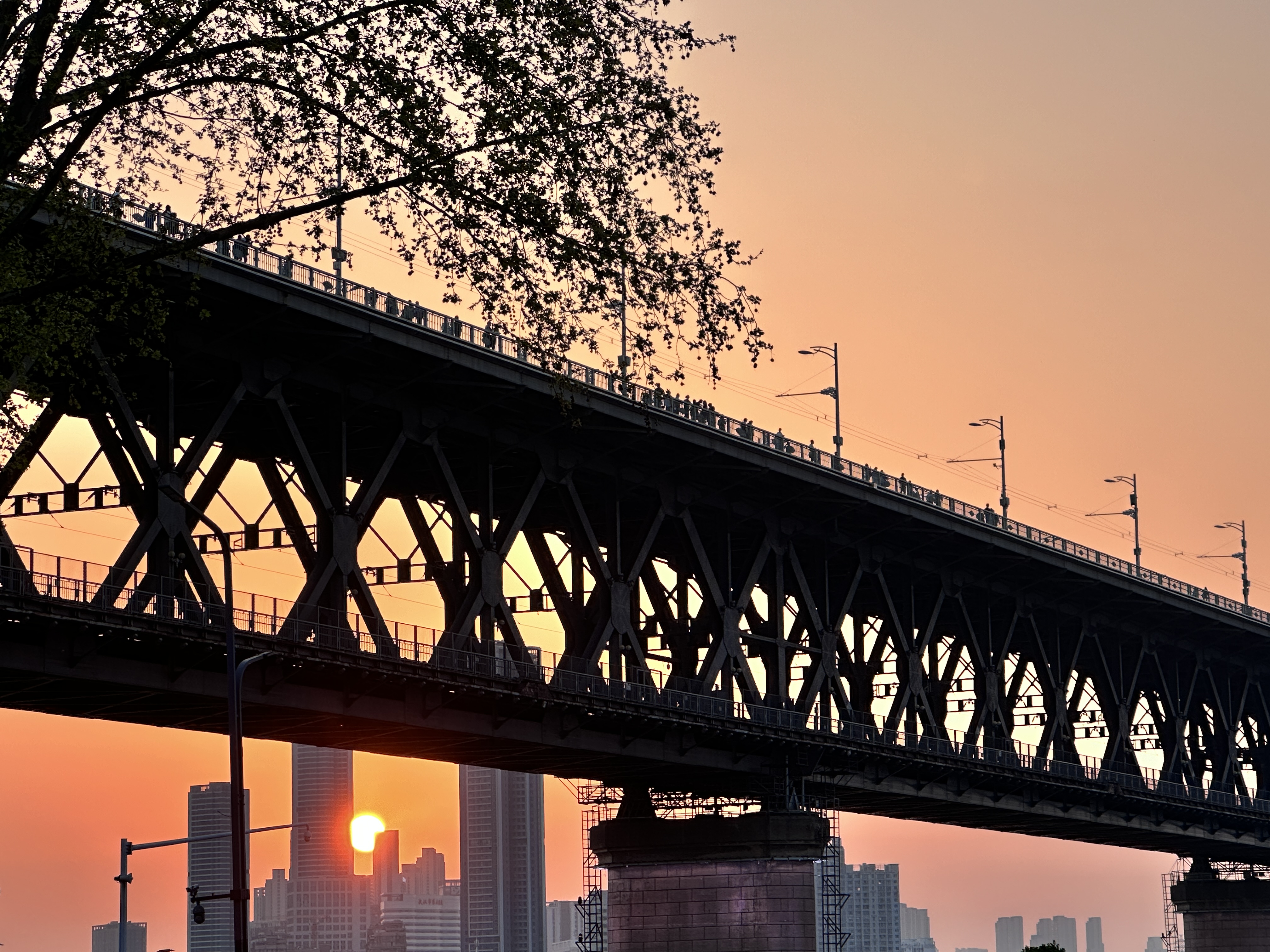 Feihu.Liu (刘飞虎)