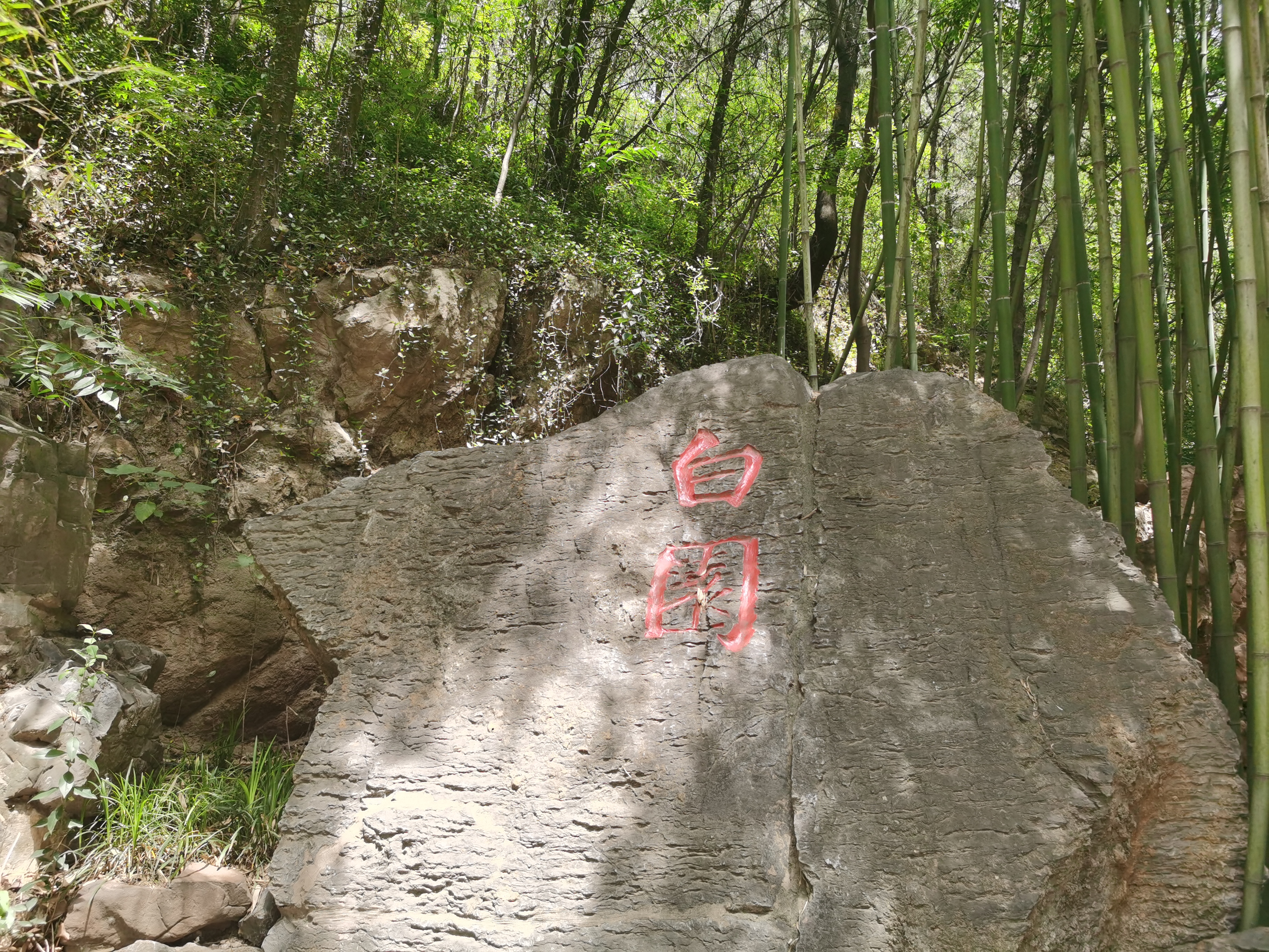 Feihu.Liu (刘飞虎)