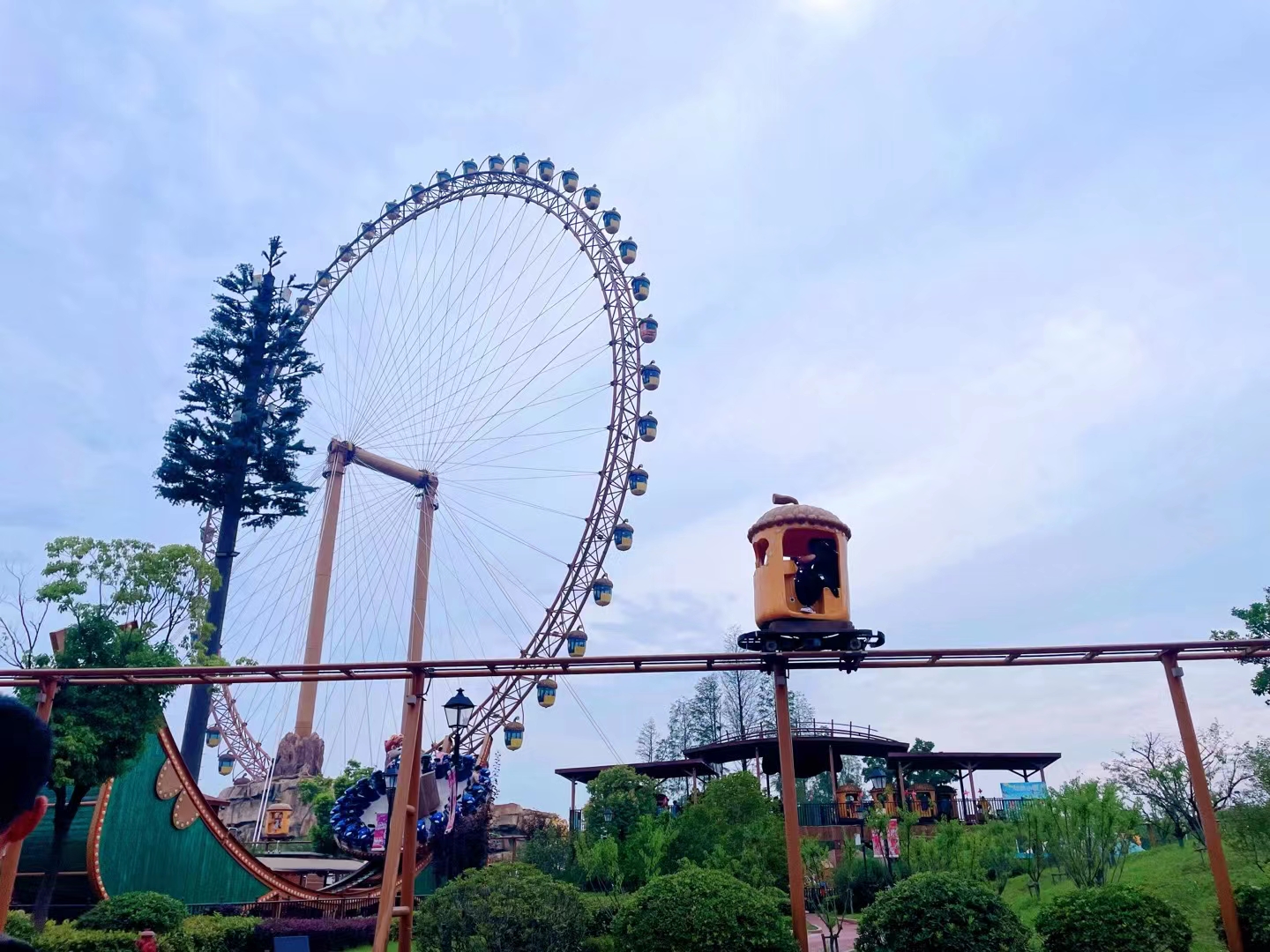 Feihu.Liu (刘飞虎)